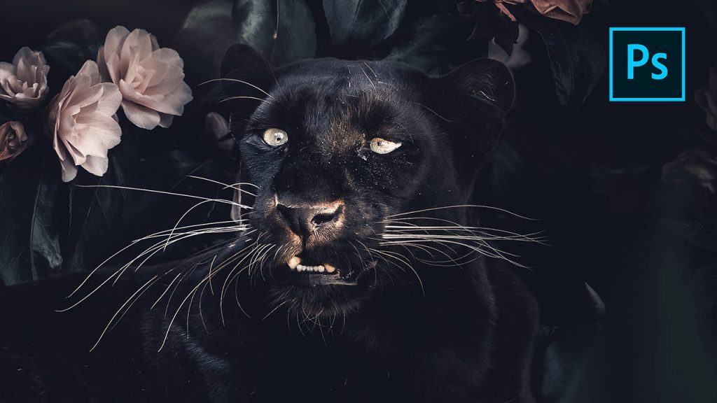 Fairy Tale Book Manipulation in Photoshop – Zenzdesign