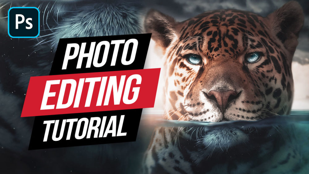 Fairy Tale Book Manipulation in Photoshop – Zenzdesign