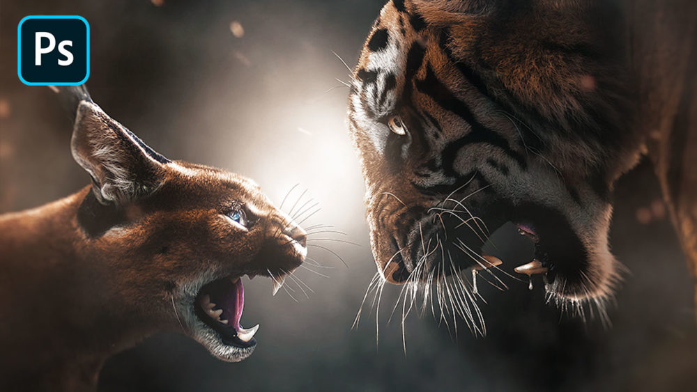 Fairy Tale Book Manipulation in Photoshop – Zenzdesign