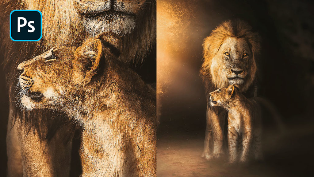 Fairy Tale Book Manipulation in Photoshop – Zenzdesign